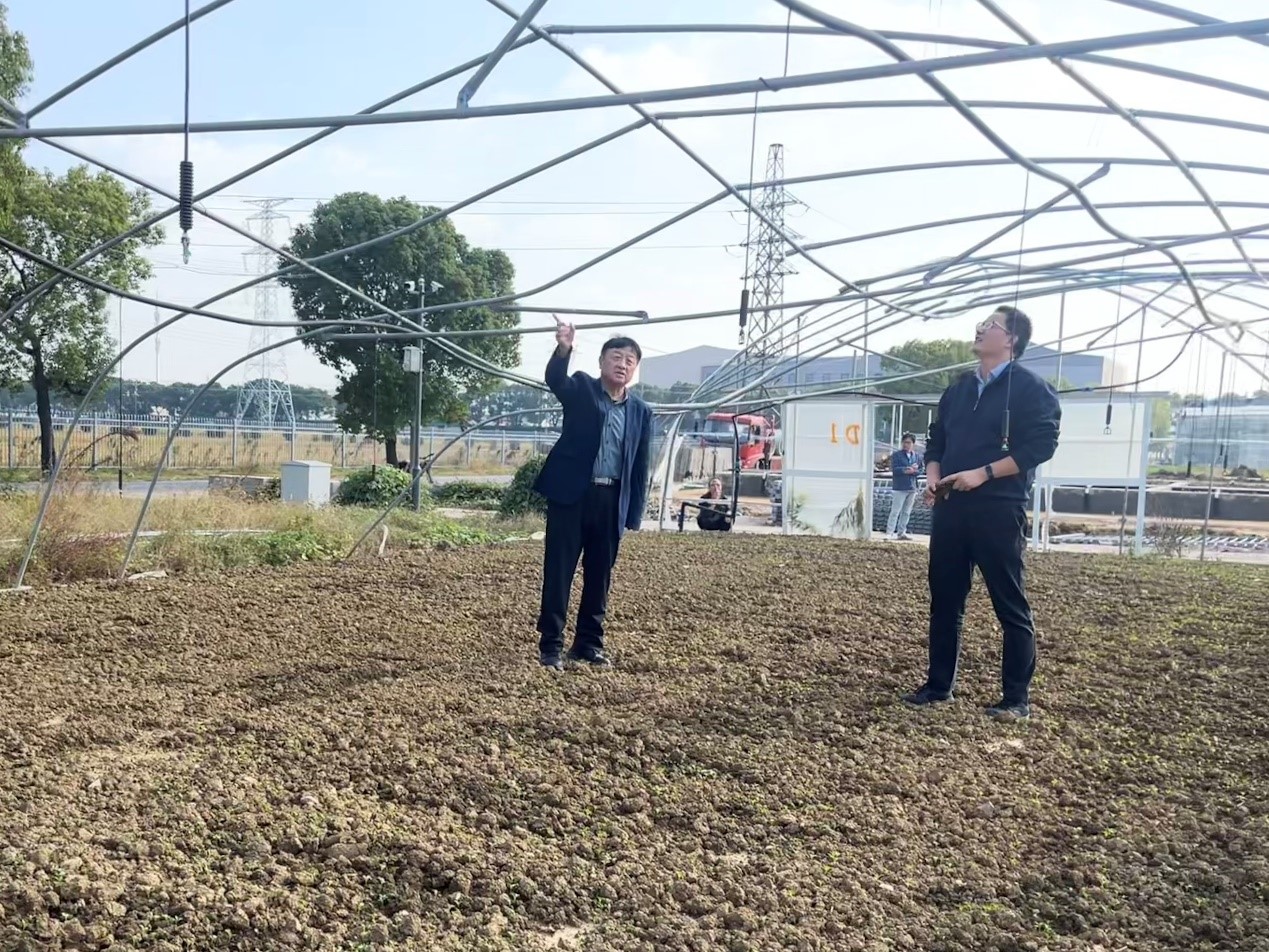 调研温室大棚，助力乡村振兴